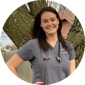 Veterinarian In Bentonville, AR 72712 | Rose Animal Clinic